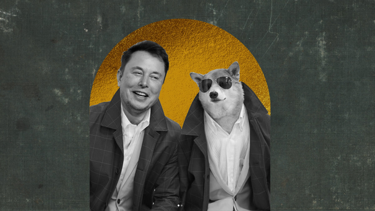 DOGE is back in game! Does the credit go to Coinbase and Elon Musk ...