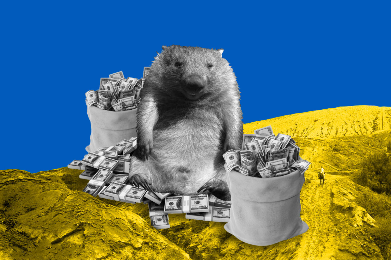 Wombat Exchange Raises $5.25M in Series A Funding Led by Animoca Brands ...
