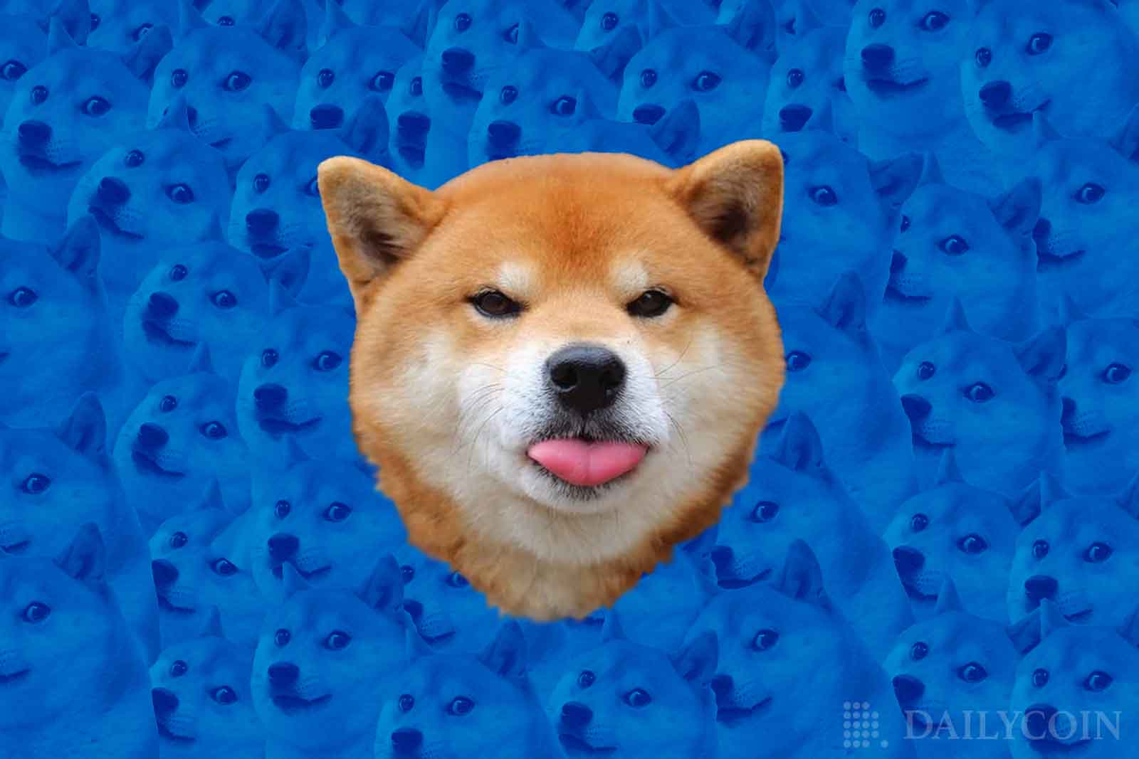 Dogechain Sees Over 300M Dogecoin DOGE Bridged As DC Token Gets