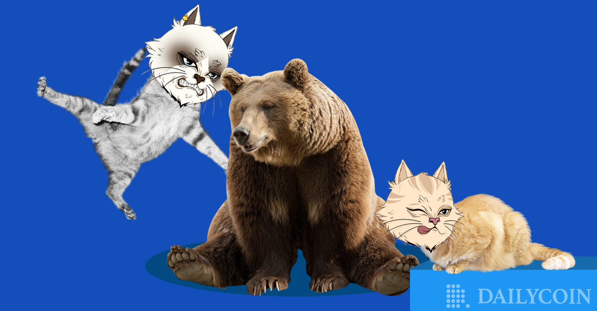 Angry Cat NFT Collection Soars 334% Amid Bear Market - Here’s Why ...