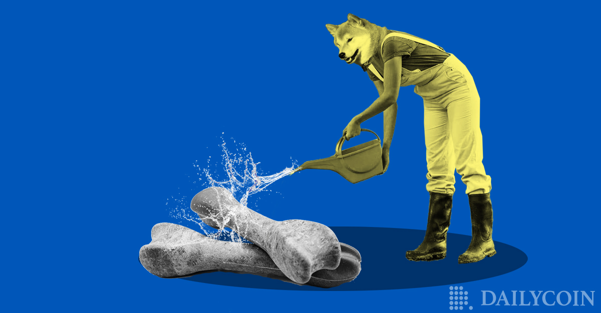 Shiba Inu’s (SHIB) Bone ShibaSwap (BONE) Grows 10% as Shibarium Nears ...