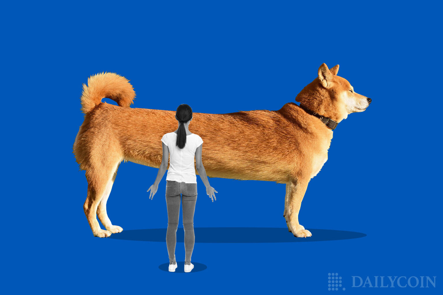 Dogecoin (DOGE) Grows 14% in Rebound Rally - Here’s Why - DailyCoin