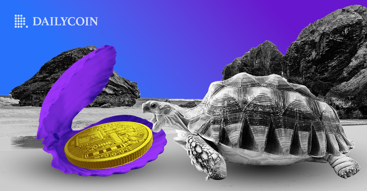 Bermuda Bank Launches JUSD Stablecoin on Polygon - DailyCoin