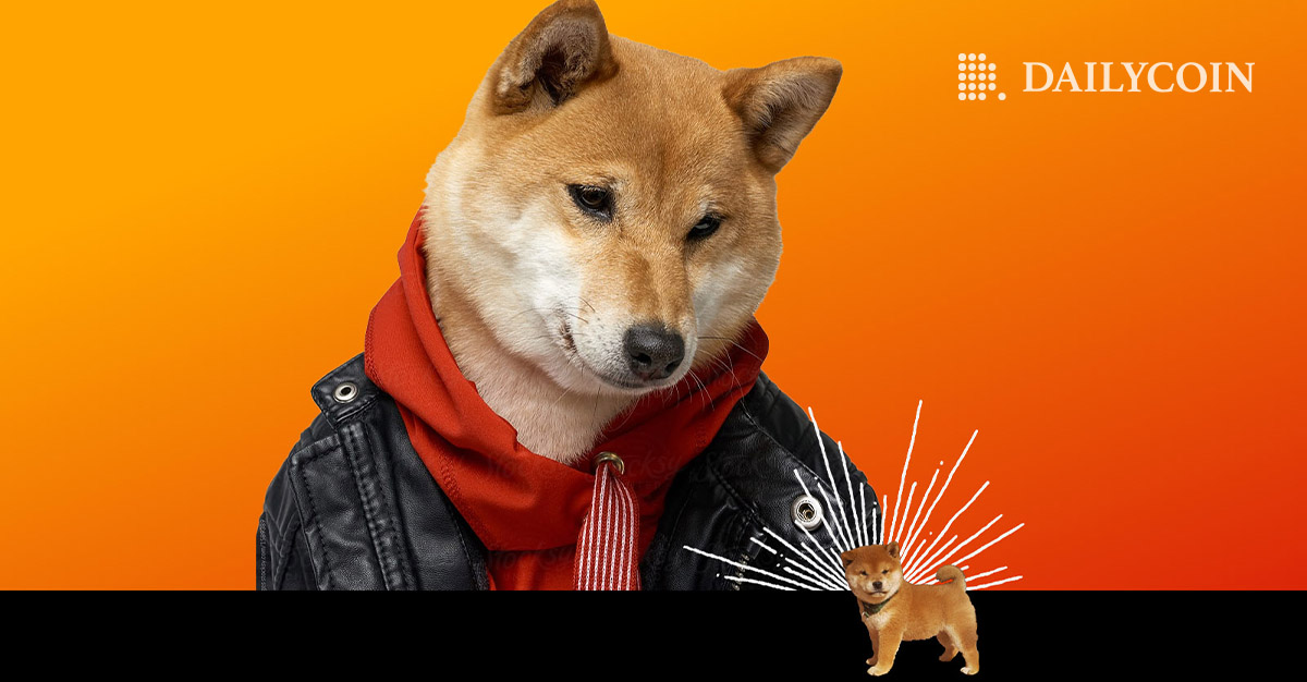 Shiba Inu (SHIB) Contested by Baby Doge Coin (BABYDOGE) - Here’s How ...
