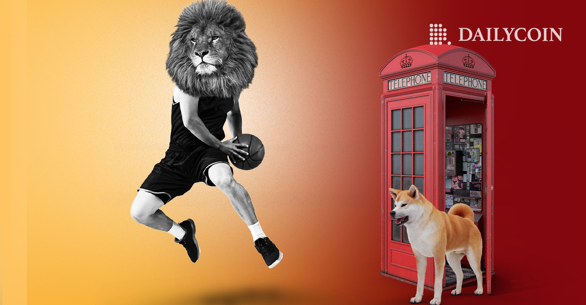Shiba Inu (SHIB) Adopted by London Lions Basketball Club - DailyCoin