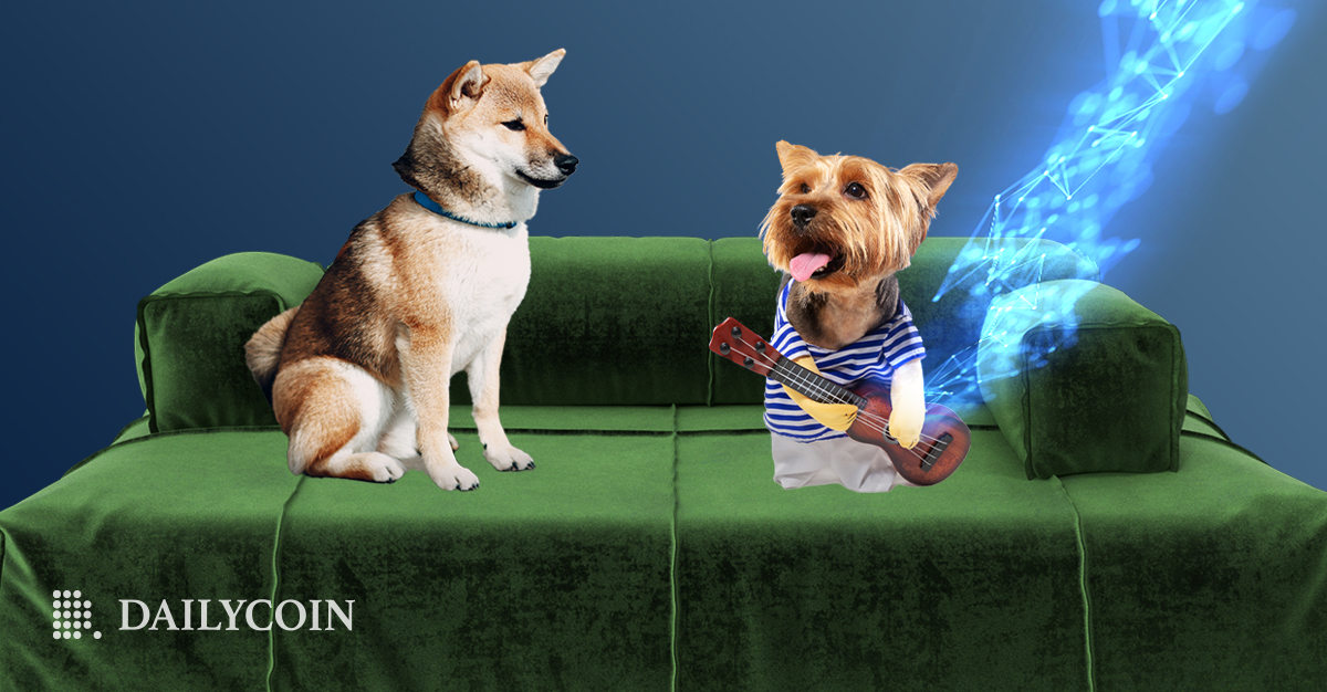 Shibarium Validators Wanted as Lead Dev Gives Musical Clue - DailyCoin