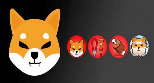 Shiba Inu Token Ecosystem - DailyCoin