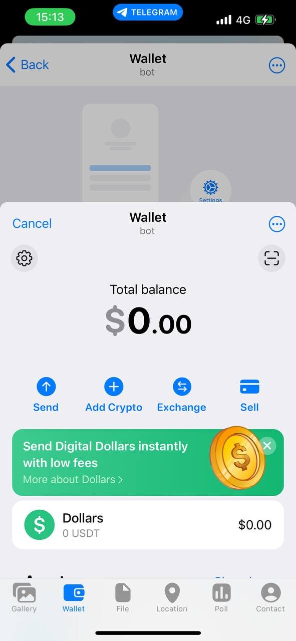 Telegram Wallet Gets USDT Payments: Here’s How to Set them Up - DailyCoin