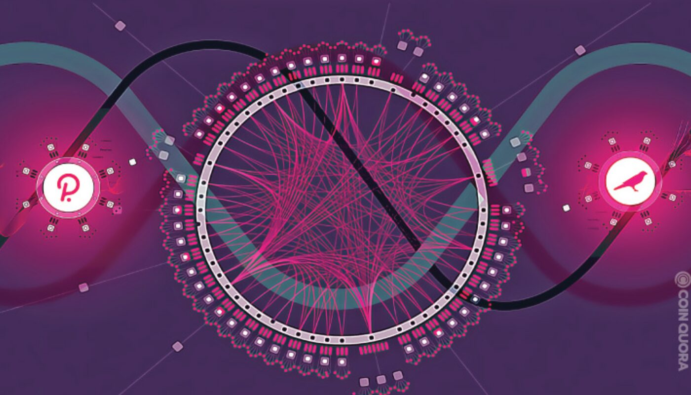 Polkadot (DOT) VS Kusama (KSM): Two Sides of the Same Multi-Chain Coin ...